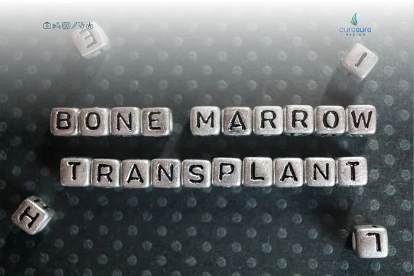 bone-marrows-transplantation