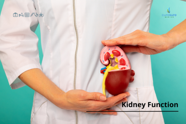 Understanding Kidney Health: Functions, Anatomy, Common Disorders, and ...